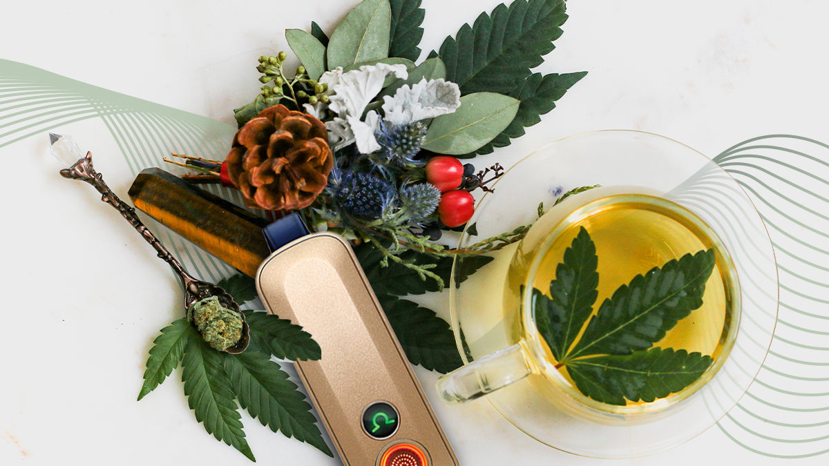 All You Need to Know About Vaping Terpenes